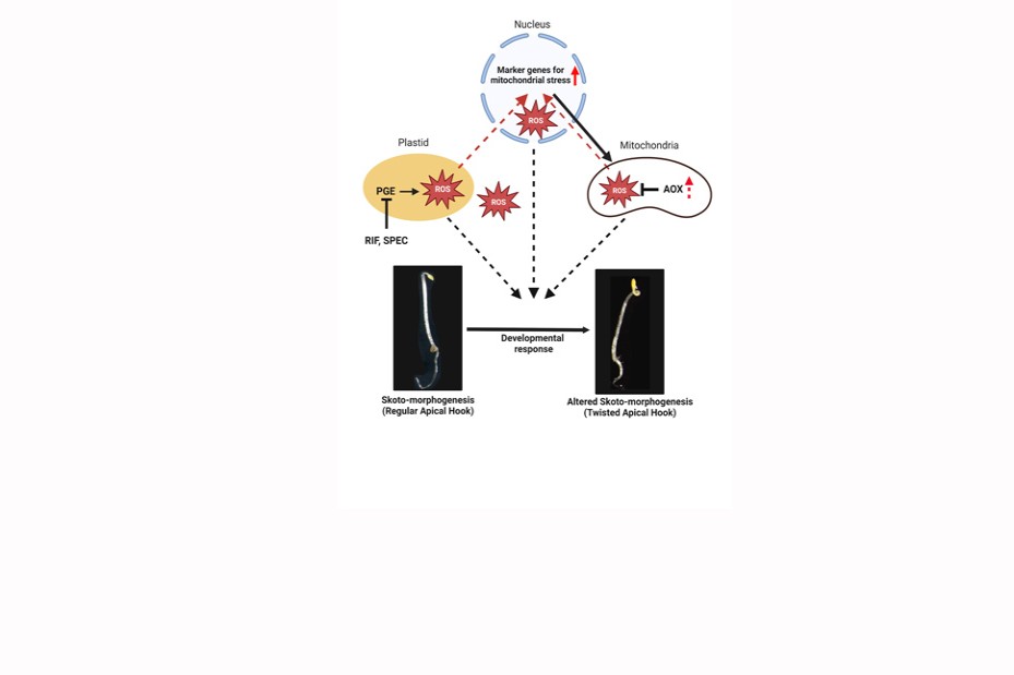 IPS2 - Ametys, Web Java Open Source CMS